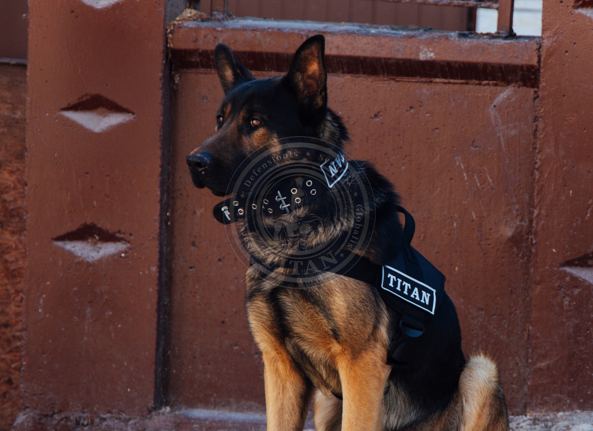 Canine Guard Dog Security Patrol Services | Titan Global Security ...